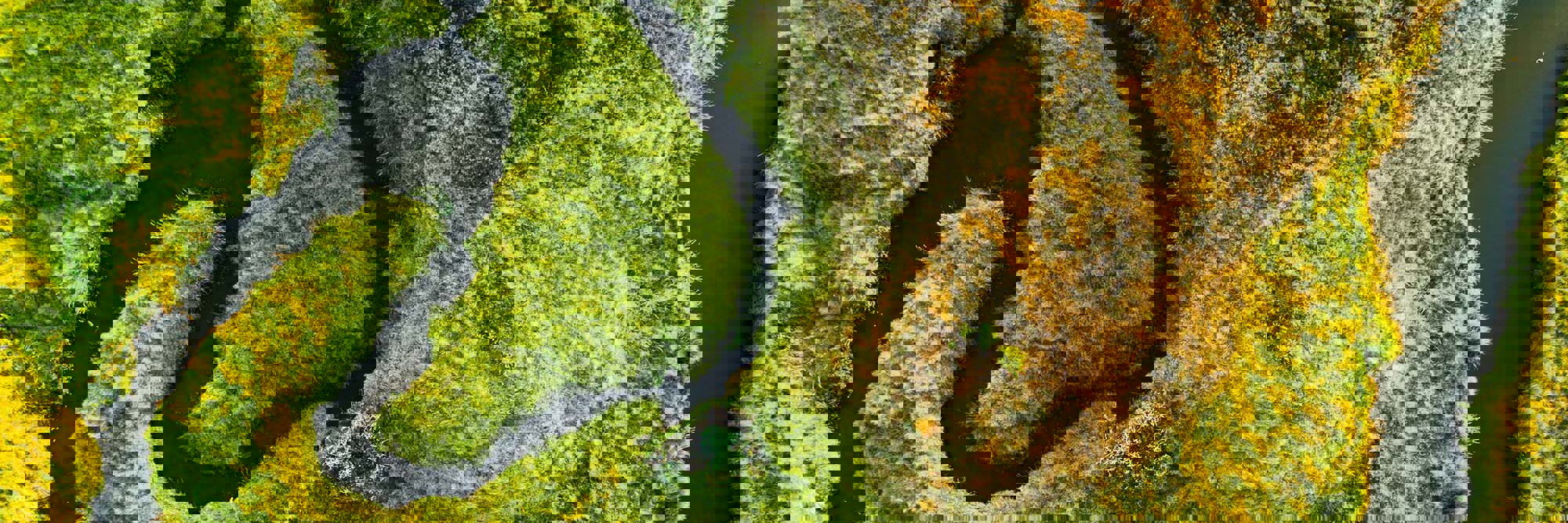 XRB releases Staff Guidance for Entity Scenario Development